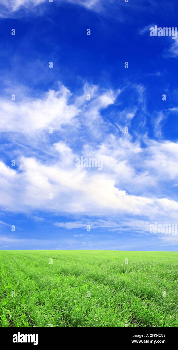 Vertical nature banner hi-res stock photography and images - Alamy