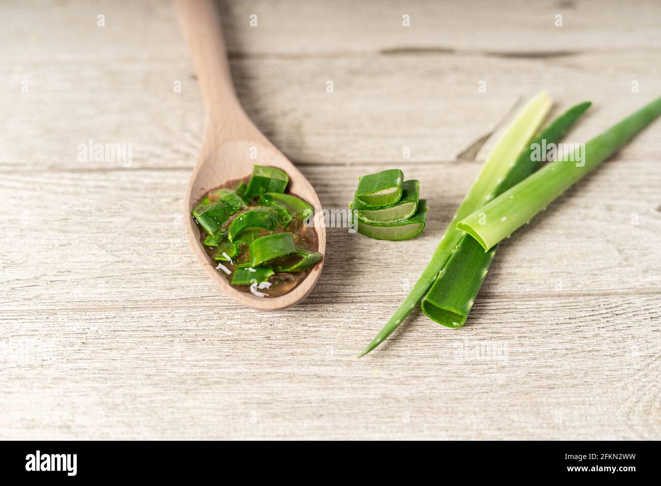 Fresh aloe vera plant, stem slices and gel Stock Photo - Alamy