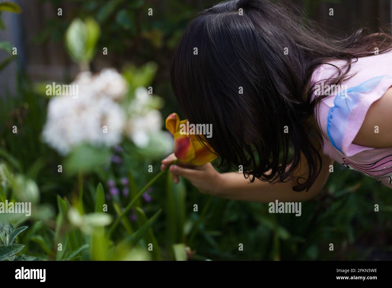 Bending and stooping hi-res stock photography and images - Alamy