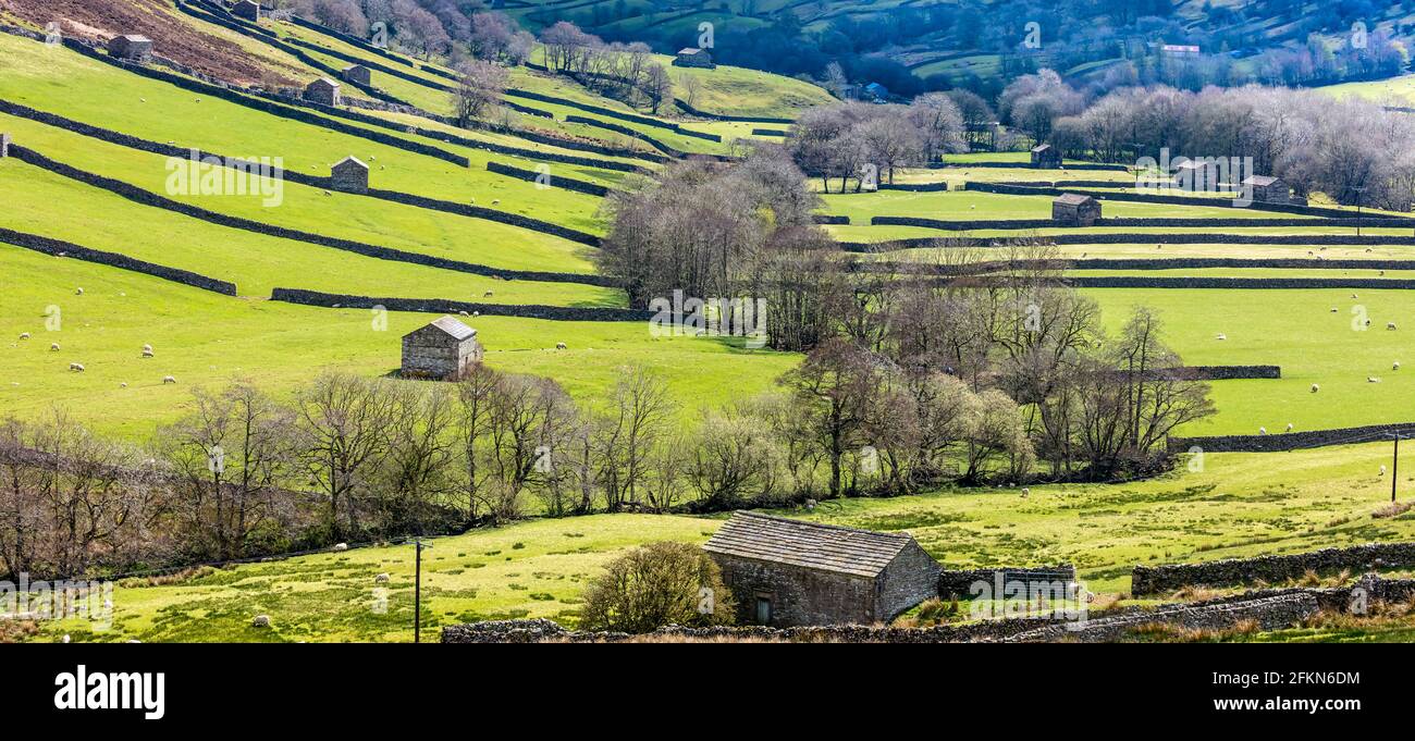 Swaledale in North Yorkshire. A panorama of the Yorkshire Dales ...