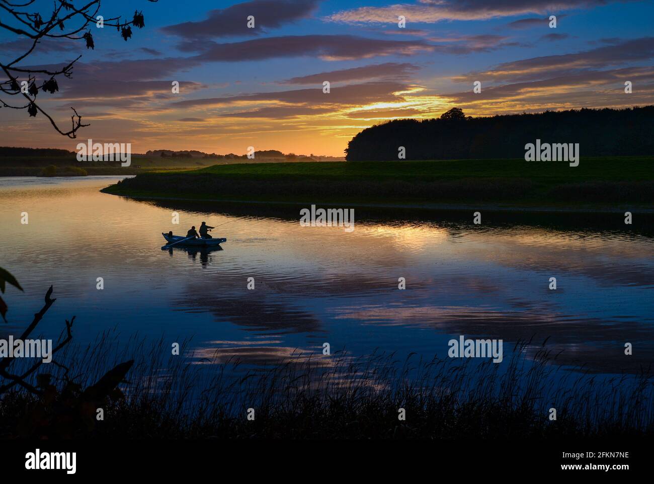 Salmon angling on the lower River Tweed Stock Photo - Alamy