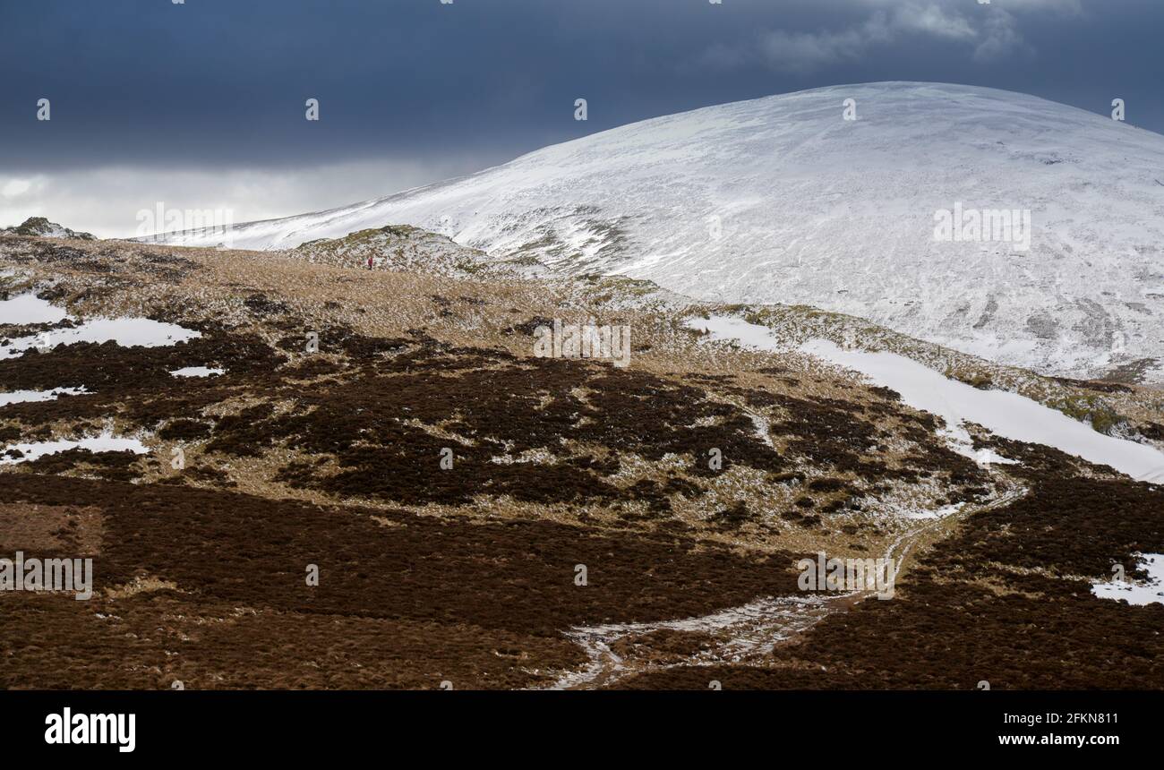 The Cheviot Hills Stock Photo - Alamy