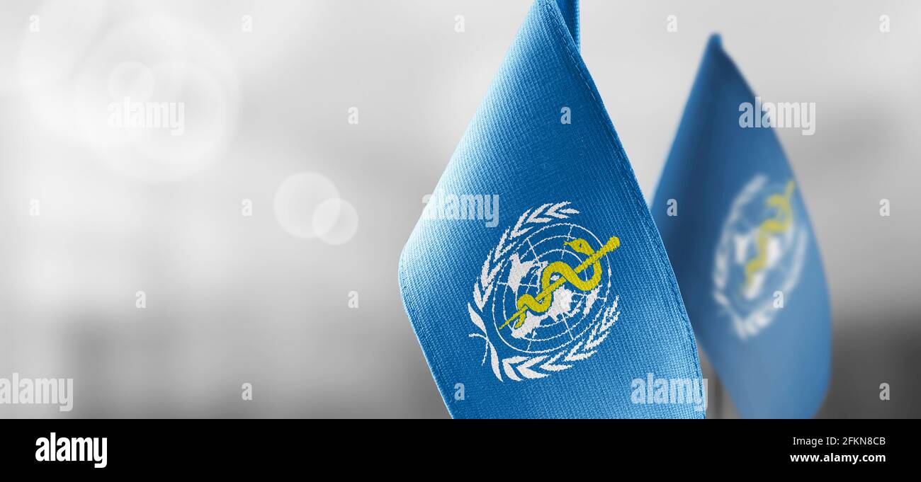 Patch of the national flag of the World Health Organization WHO on a ...