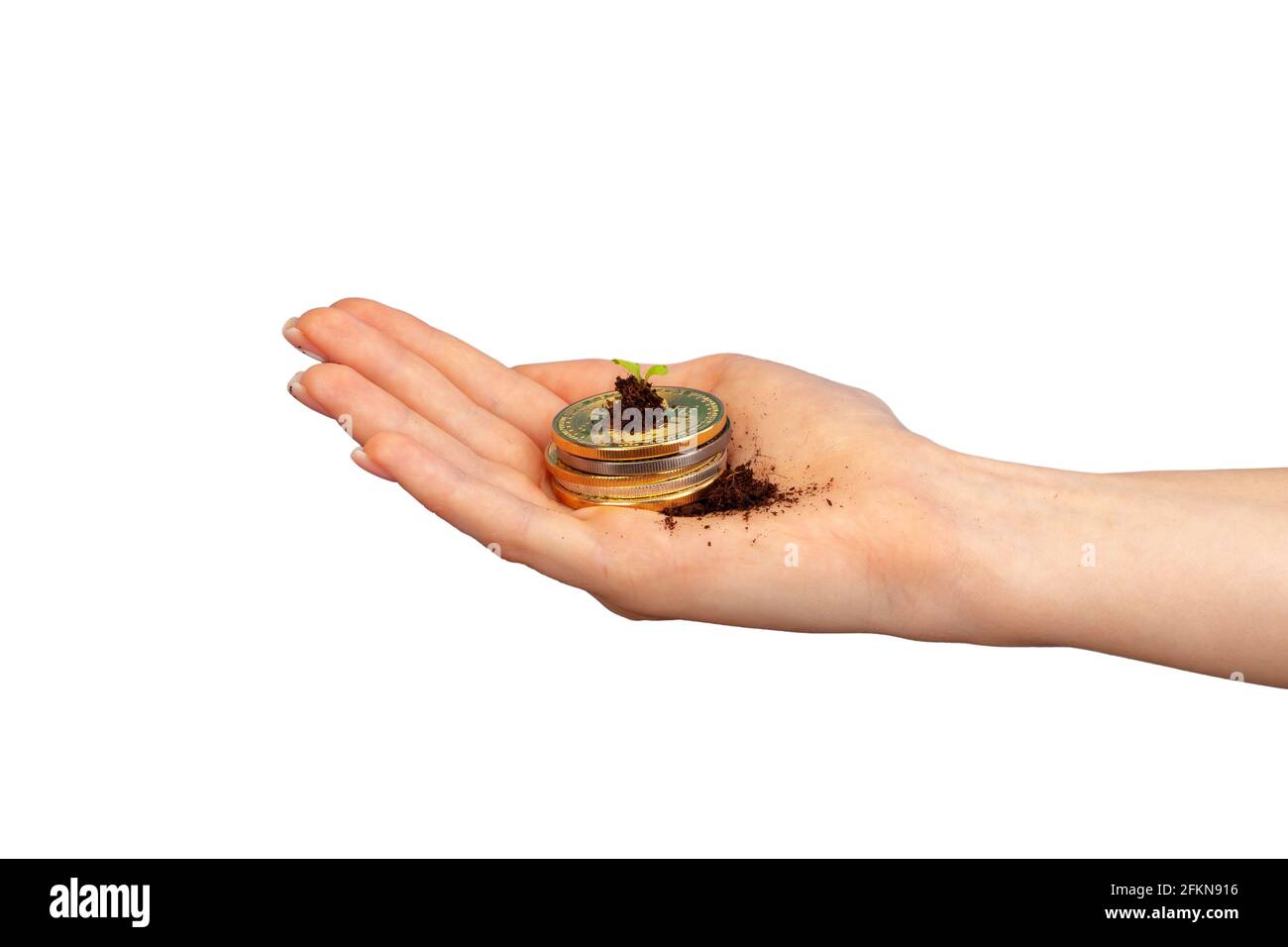 Seedlings green tree in Cut Out Stock Images & Pictures - Alamy