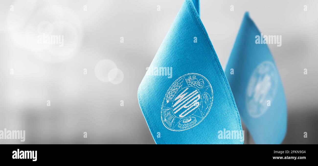 Patch of the national flag of the International Intellectual Property ...