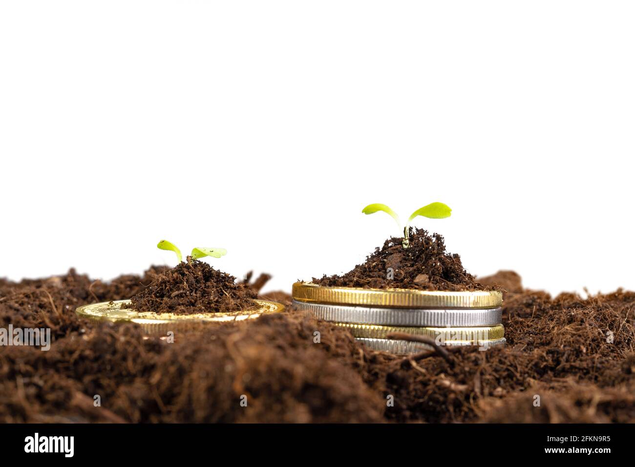 Coins stack of money and growing plant, financial concept Stock Photo ...