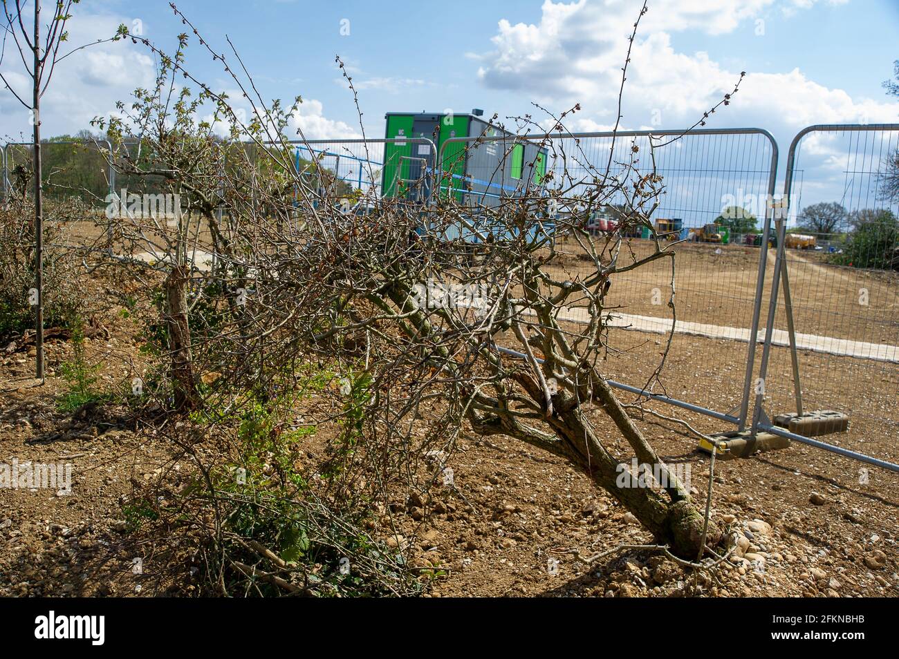 Hs2 protest woods hi-res stock photography and images - Alamy
