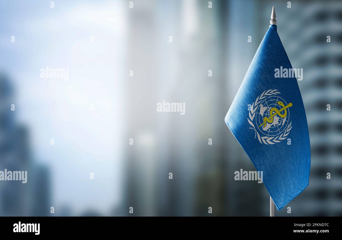 Patch of the national flag of the World Health Organization WHO on a ...