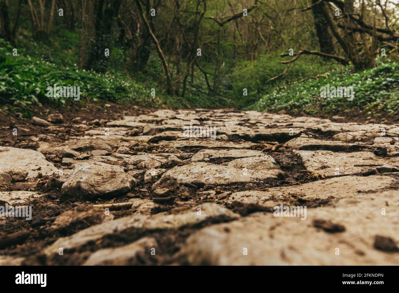 Climbing up in the mount on the morning in the Peak District, Thor Cave ...