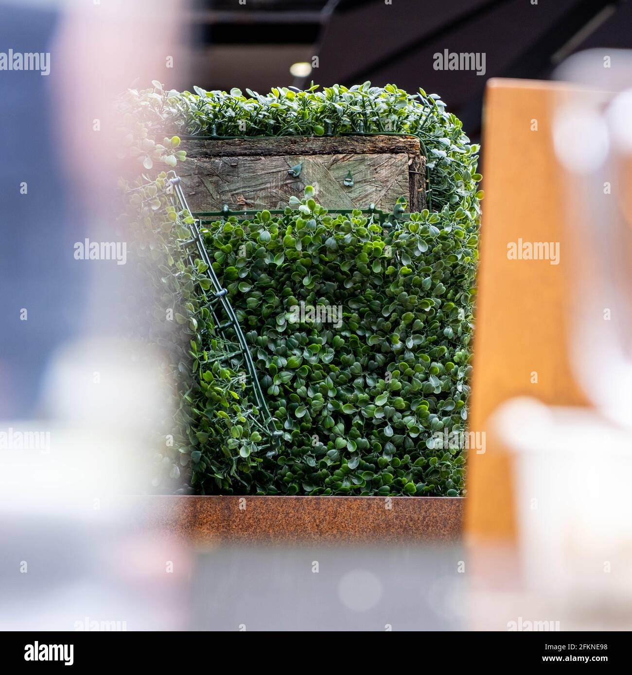 Plastic hedge hi-res stock photography and images - Alamy