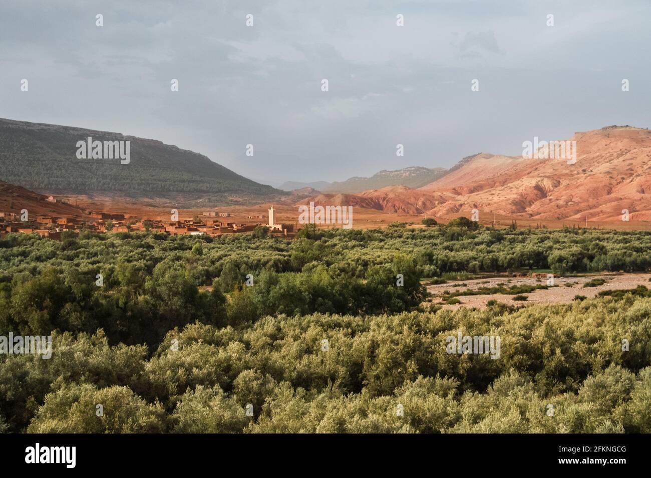 Lush greenery in the Ourika Valley, Moroccan High Atlas mountains near ...