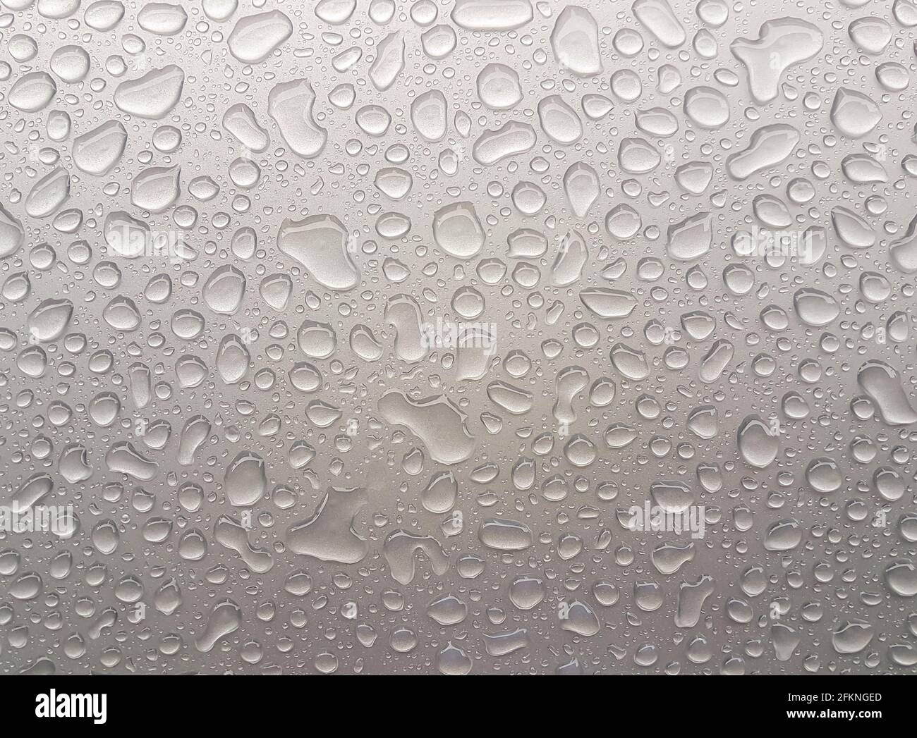 Water drops on metal background. Abstract texture formed by the bubbles ...