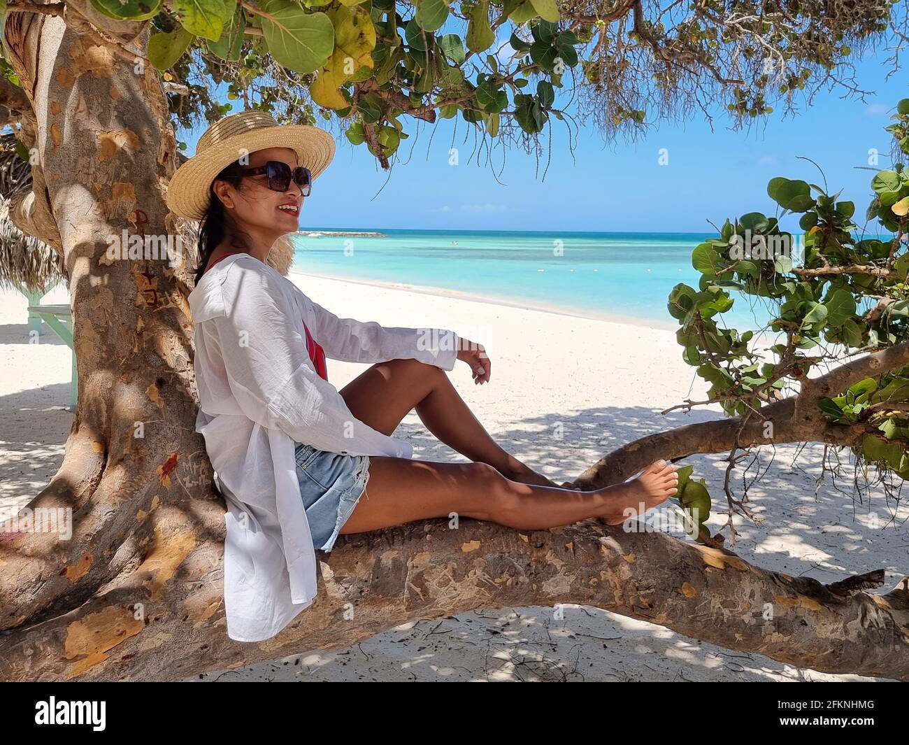 Palm Beach Aruba Caribbean, white long sandy beach with palm trees at ...