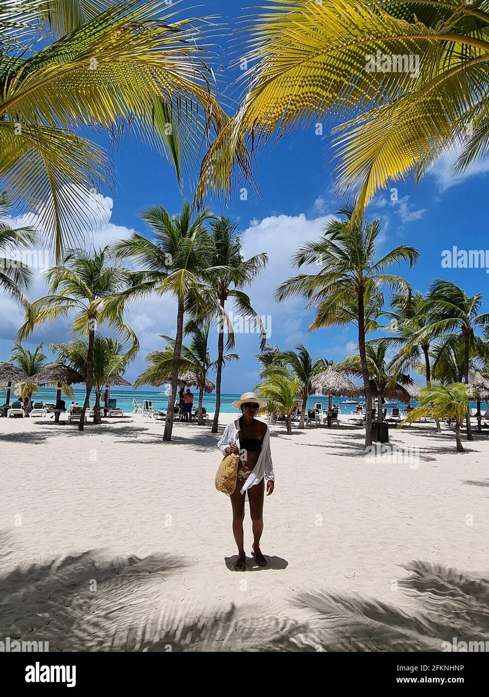 Palm Beach Aruba Caribbean, white long sandy beach with palm trees at ...