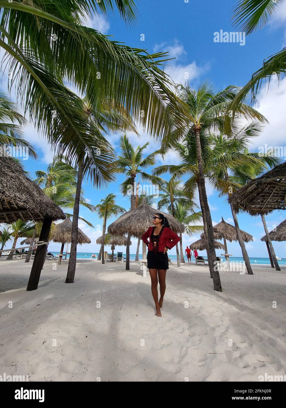 Palm Beach Aruba Caribbean, white long sandy beach with palm trees at ...