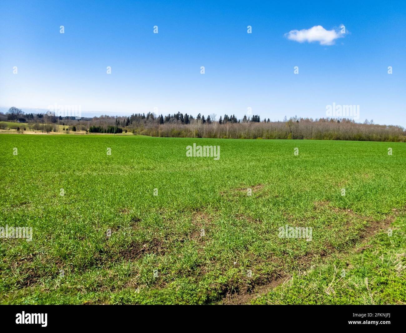 country landscape with green meadow and blue sky above. simple ...