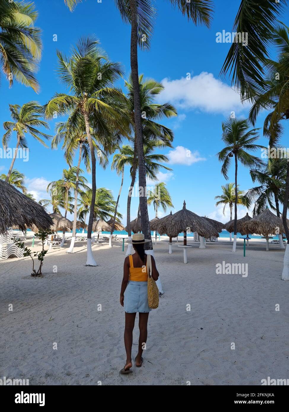 Palm Beach Aruba Caribbean, white long sandy beach with palm trees at ...
