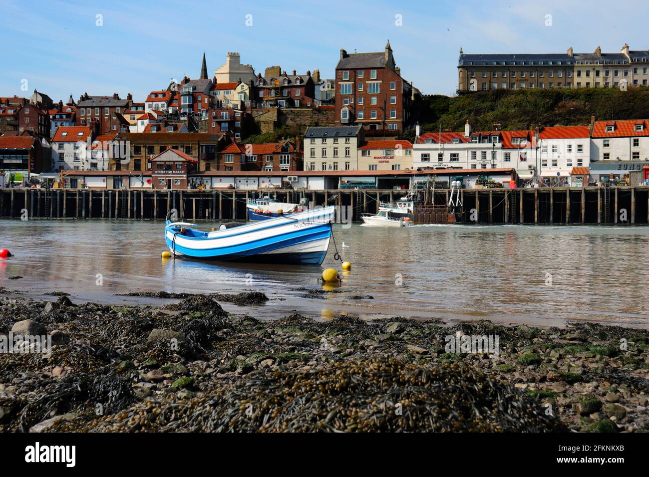 Fossil hunting on Whitby Beach Stock Photo - Alamy