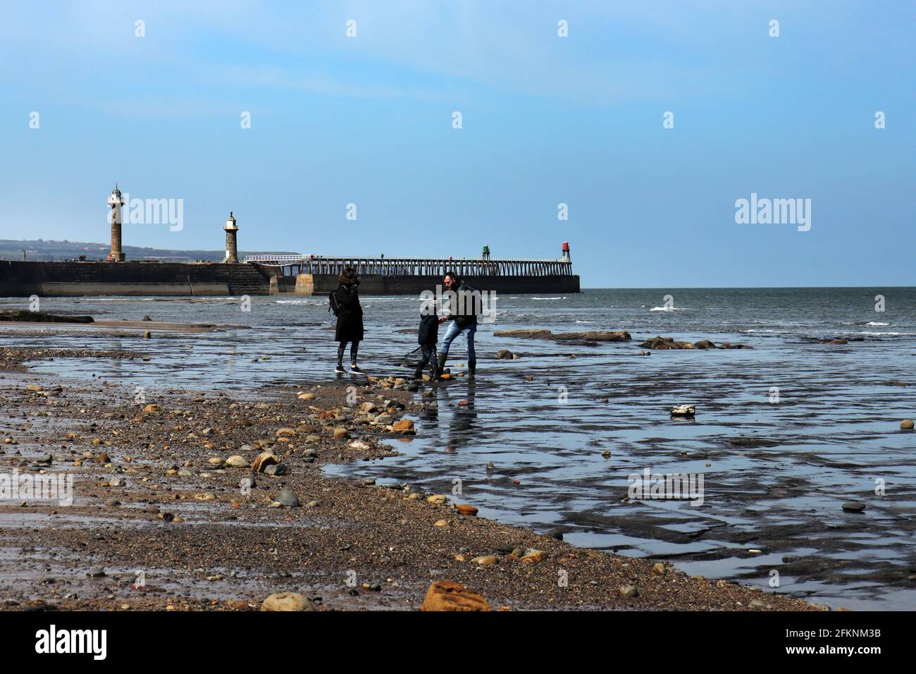 Fossil hunting on Whitby Beach Stock Photo - Alamy