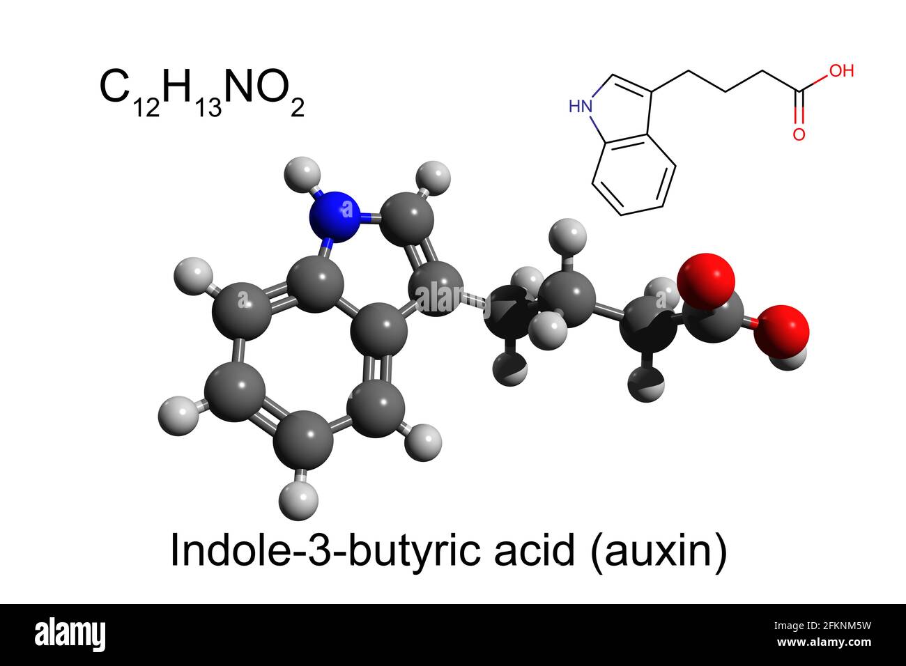 Rooting hormone compound hi-res stock photography and images - Alamy