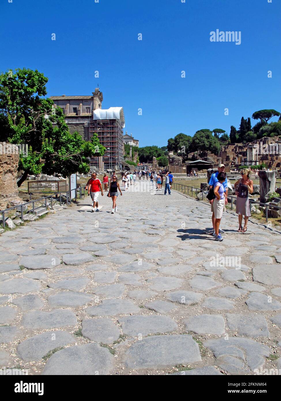 The ancient Roman forum, Rome, Italy Stock Photo - Alamy