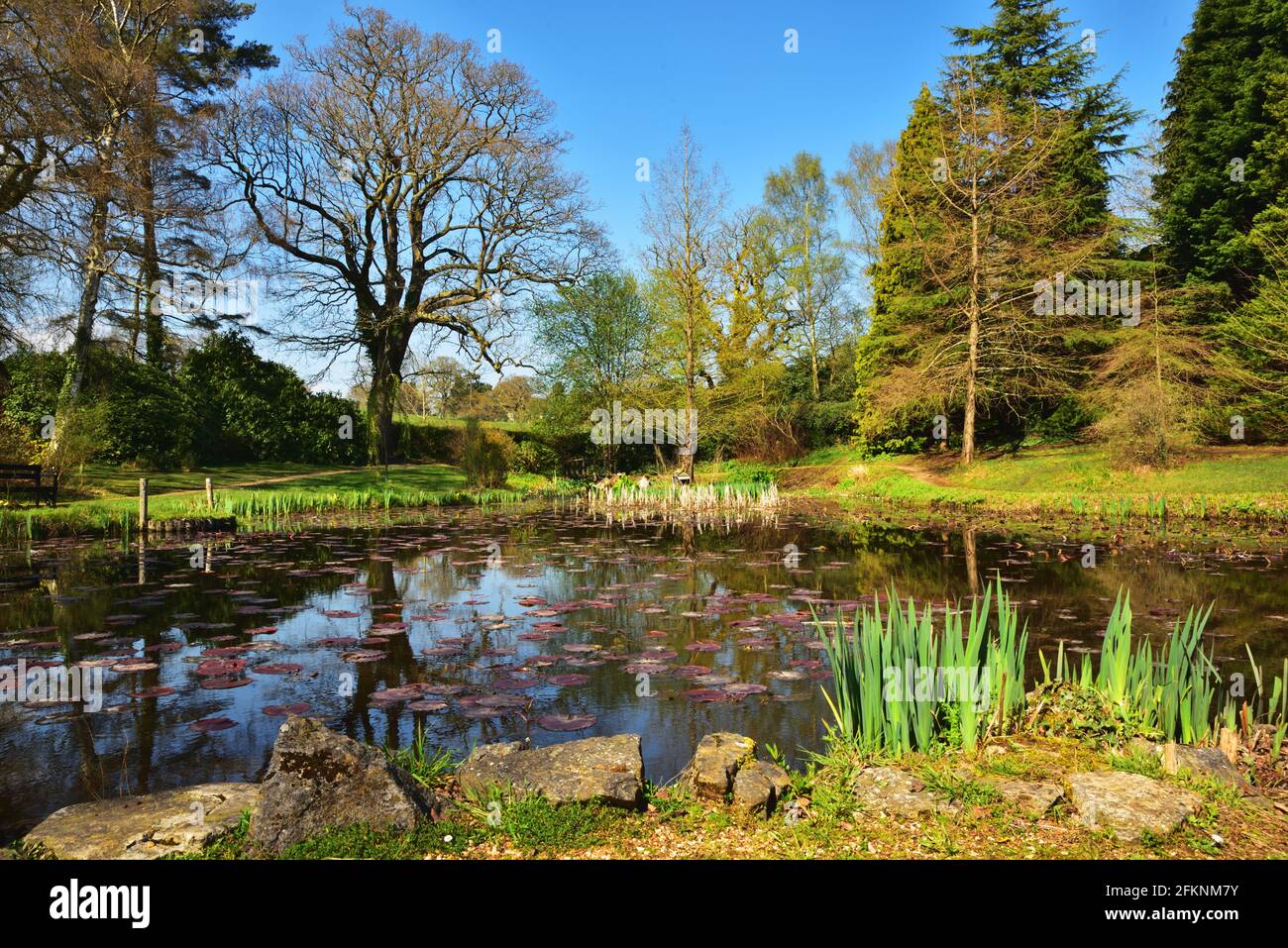 Minstead new forest hi-res stock photography and images - Alamy