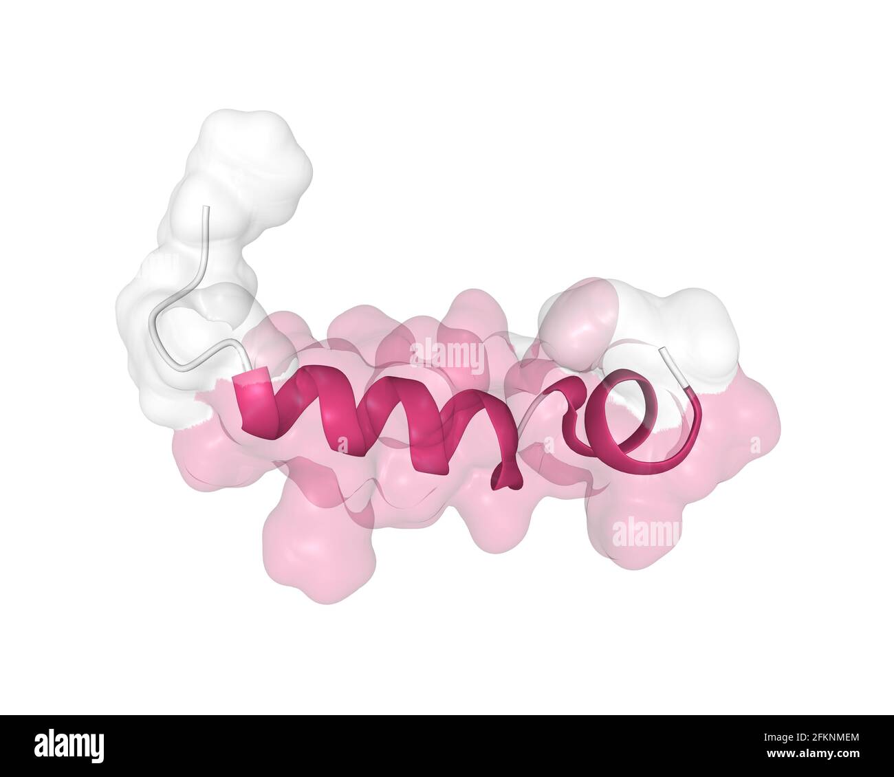 Solution structure of human hormone orexin-B: regulator of appetite and ...