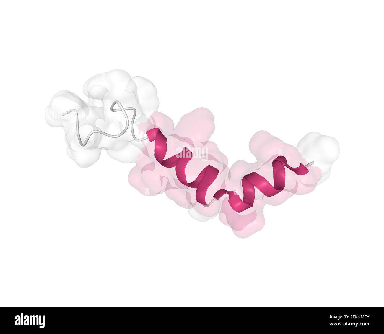 Solution structure of human hormone orexin-A: regulator of appetite and ...