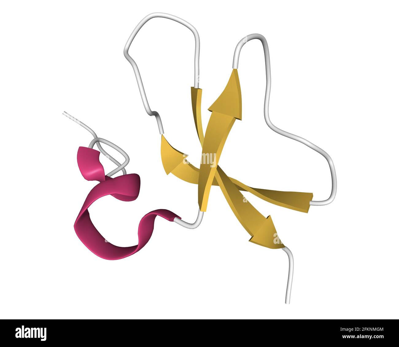 Structure of human beta-defensin-3, 3D cartoon model isolated with ...