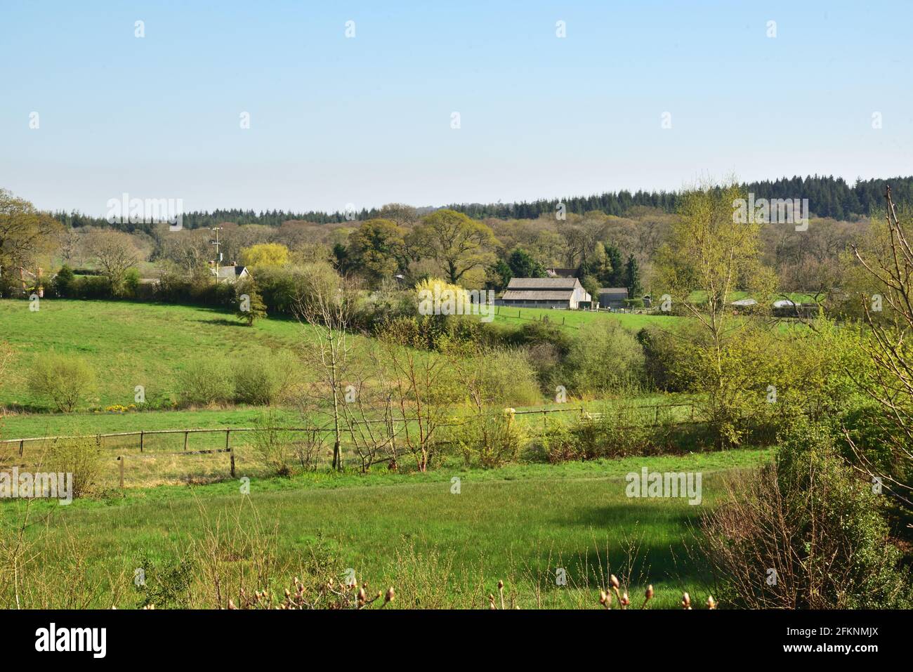 Minstead new forest hi-res stock photography and images - Alamy