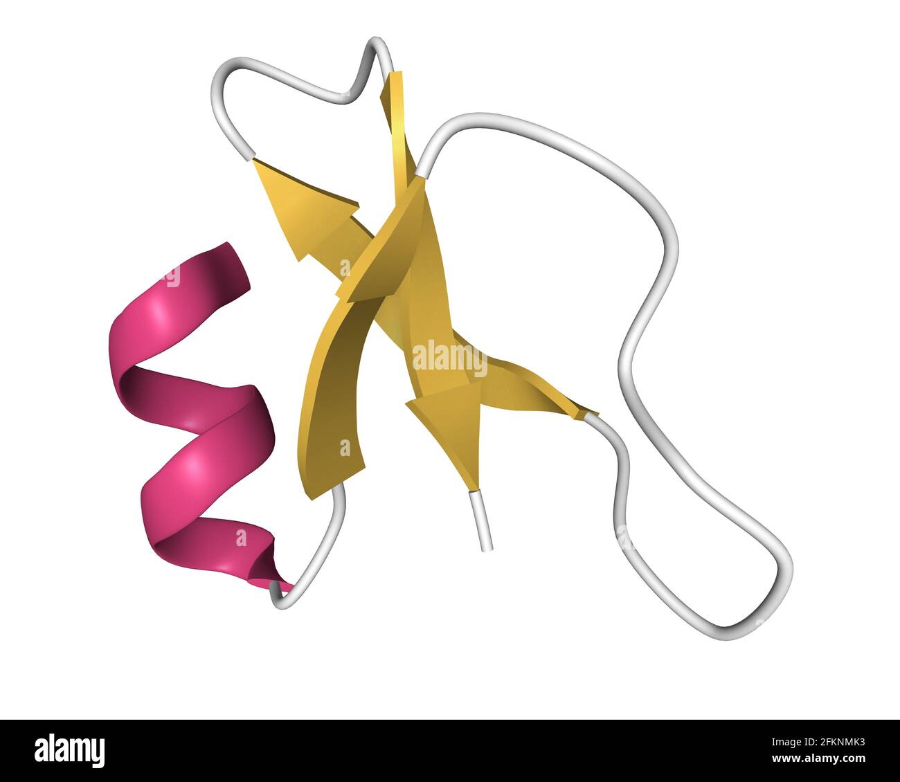 Structure of human beta-defensin-1, 3D cartoon model isolated with ...