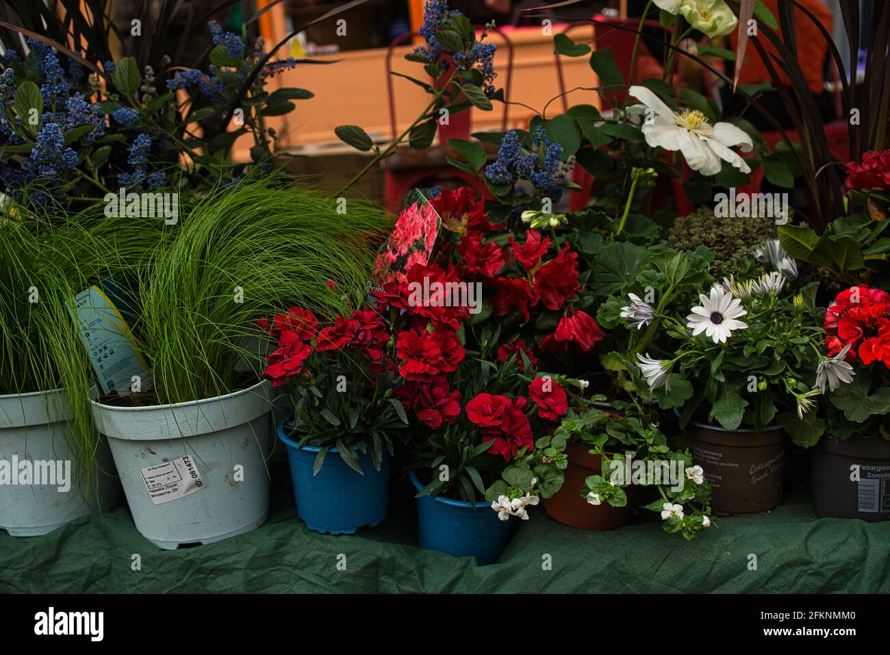 London, UK. 2nd May, 2021. Chiswick's monthly Sunday flower market ...