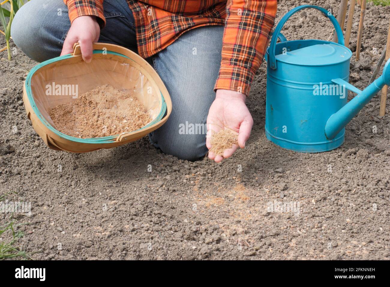 Prepared seed bed hi-res stock photography and images - Alamy