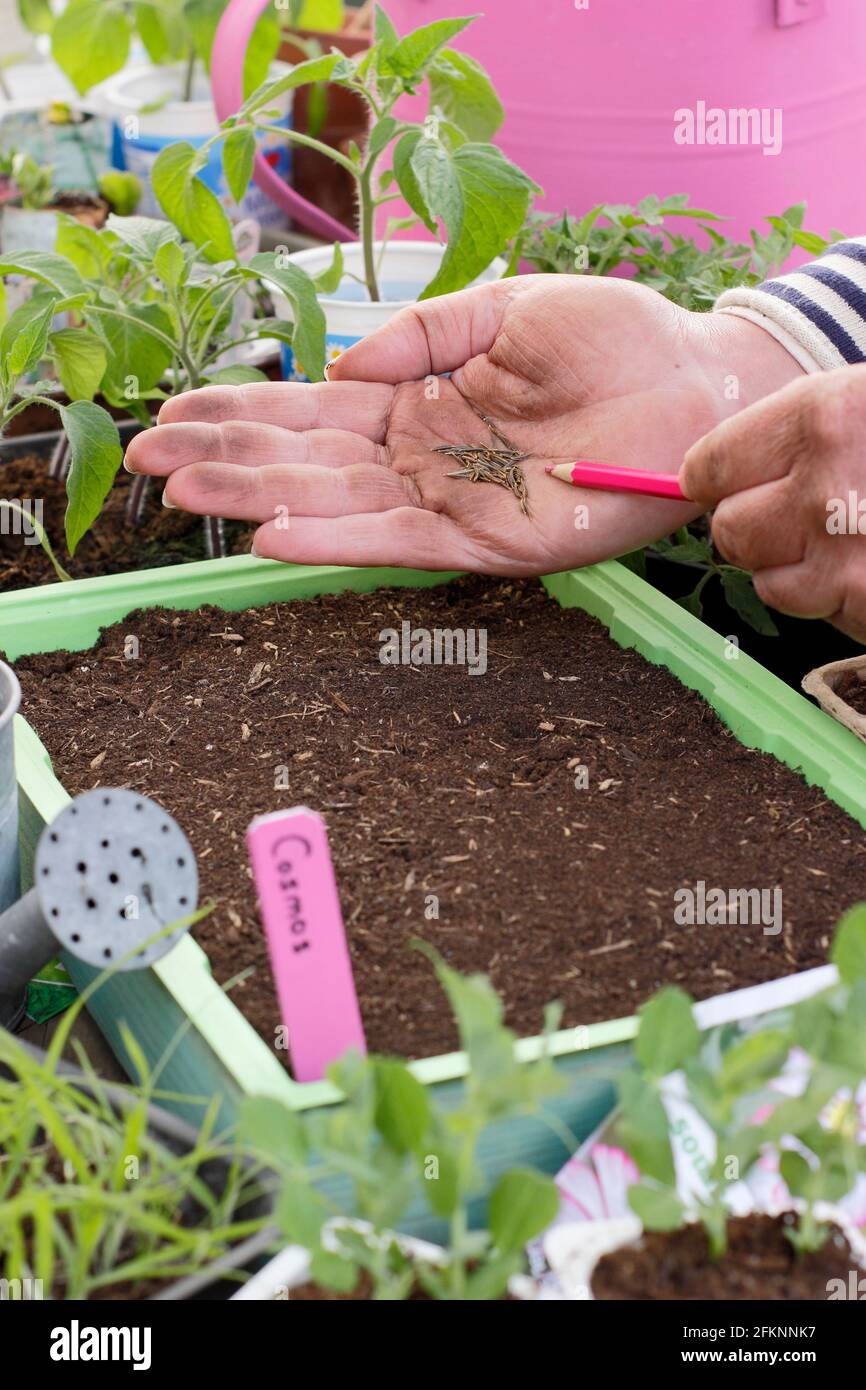 Seed spacing hi-res stock photography and images - Alamy
