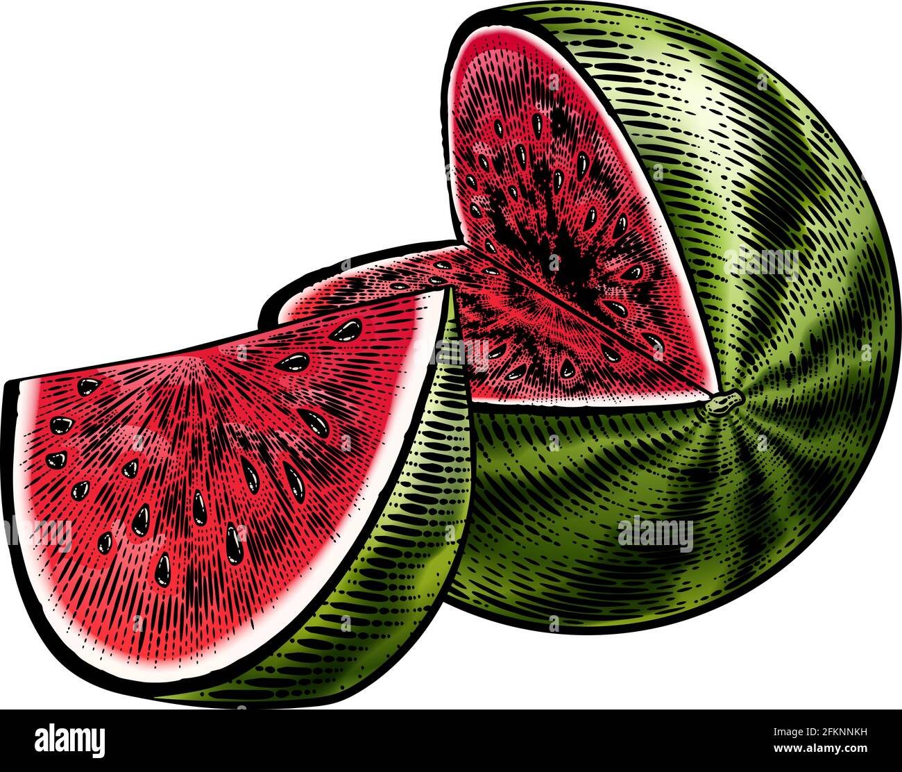 Watermelon Vintage Woodcut Engraved Style Drawing Stock Vector Image ...