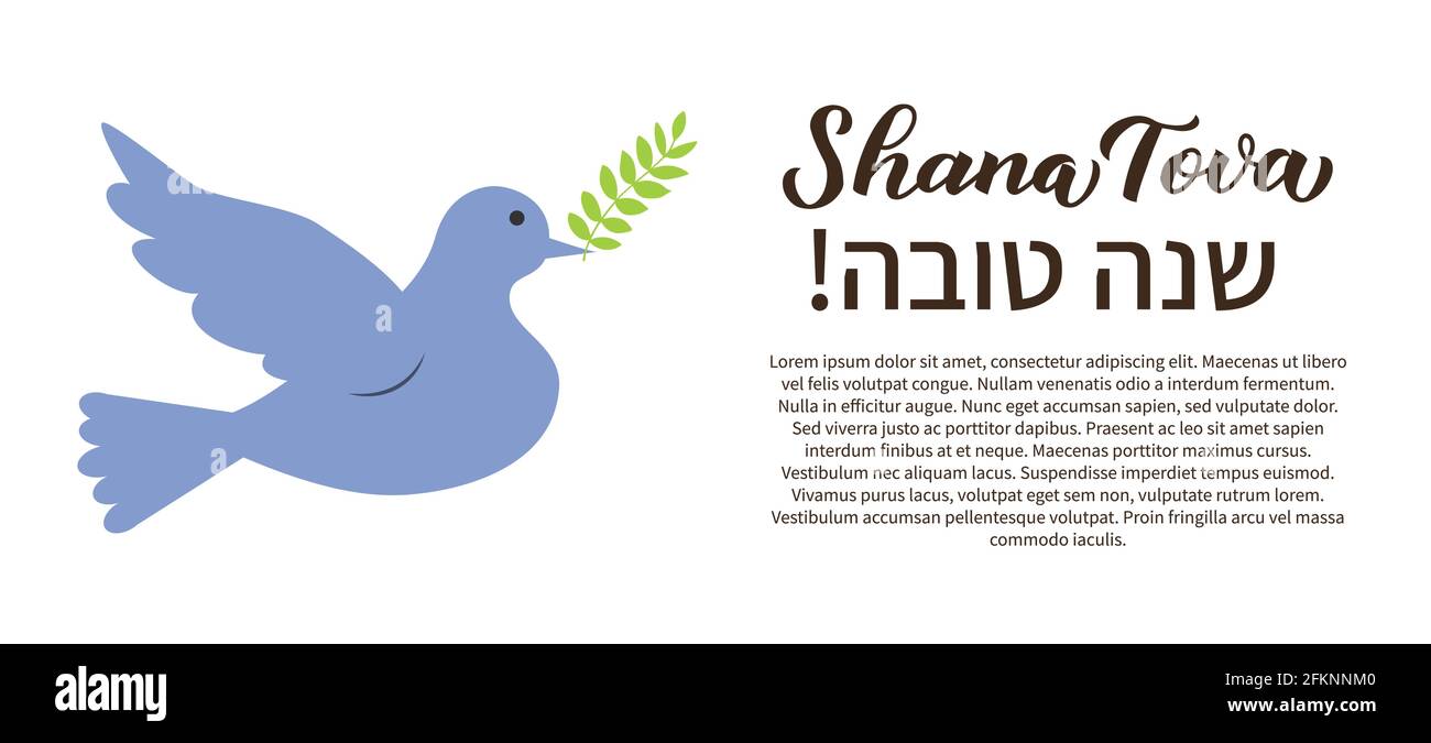 Shana Tova calligraphy hand lettering with flying dove and copy space ...