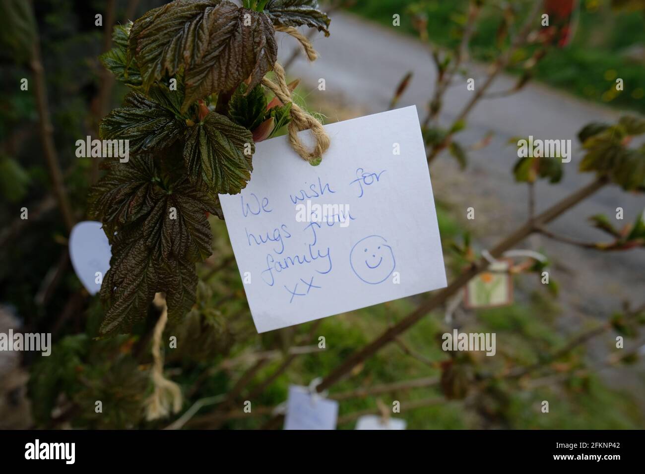 A 'wishing tree' on Spaw Sunday in the Calderdale village of Midgley ...
