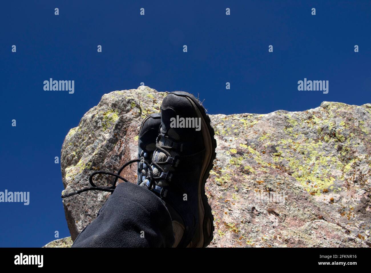 resting in nature and watching the sky Stock Photo - Alamy