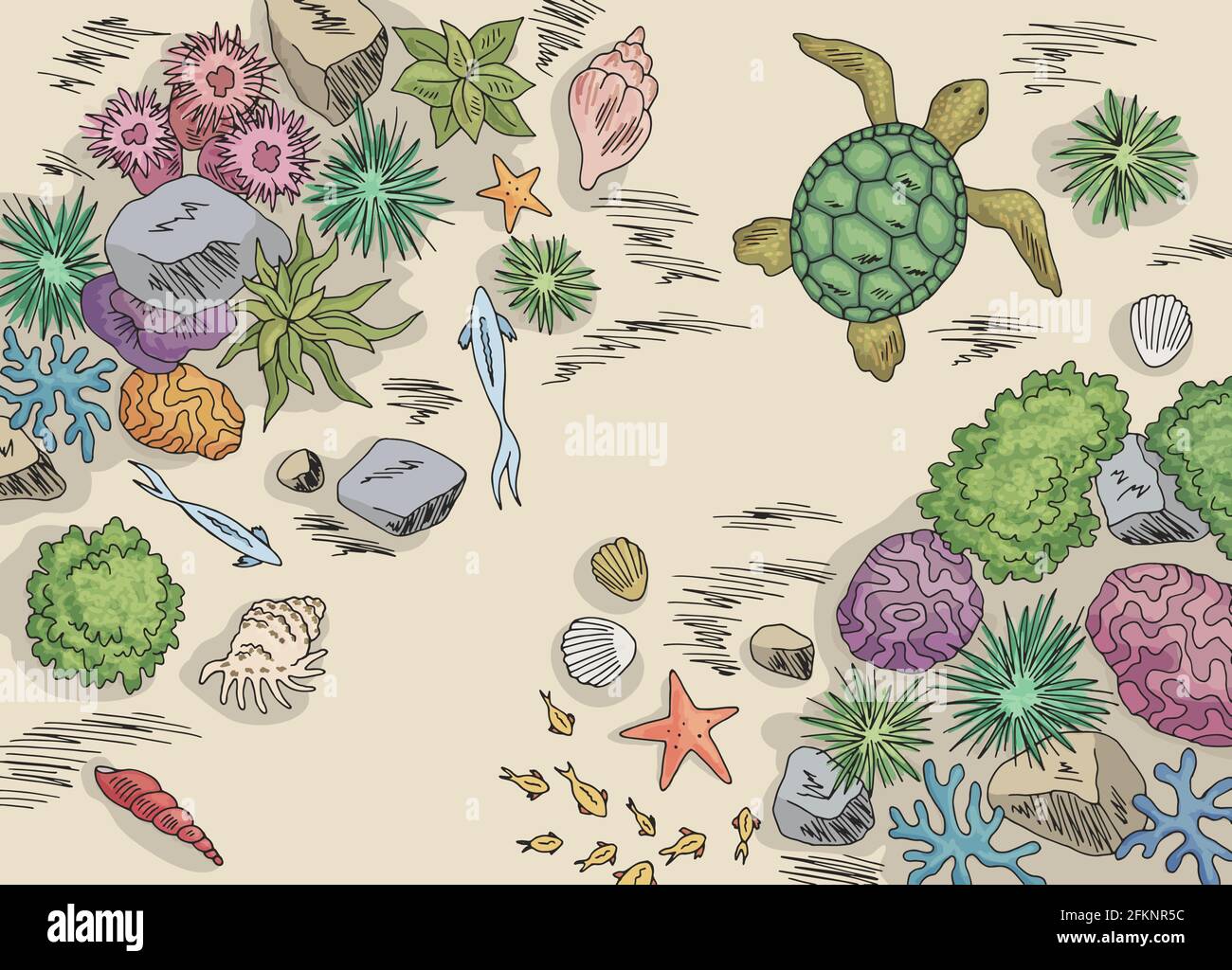 Underwater graphic sea top aerial view color sketch illustration vector ...