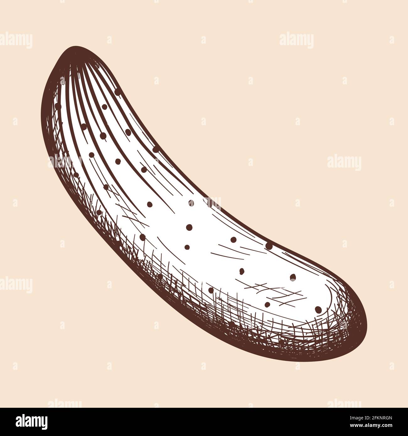 Cucumber Icon. Hand Drawn Sketch Design. Vector Illustration Stock ...