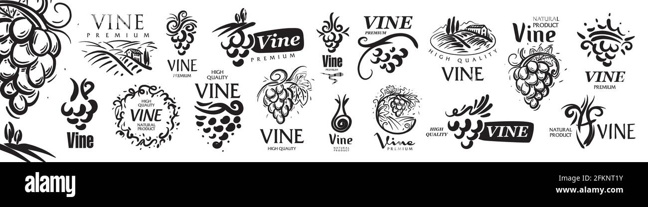Vector set of hand drawn logos for wine Stock Vector Image & Art - Alamy