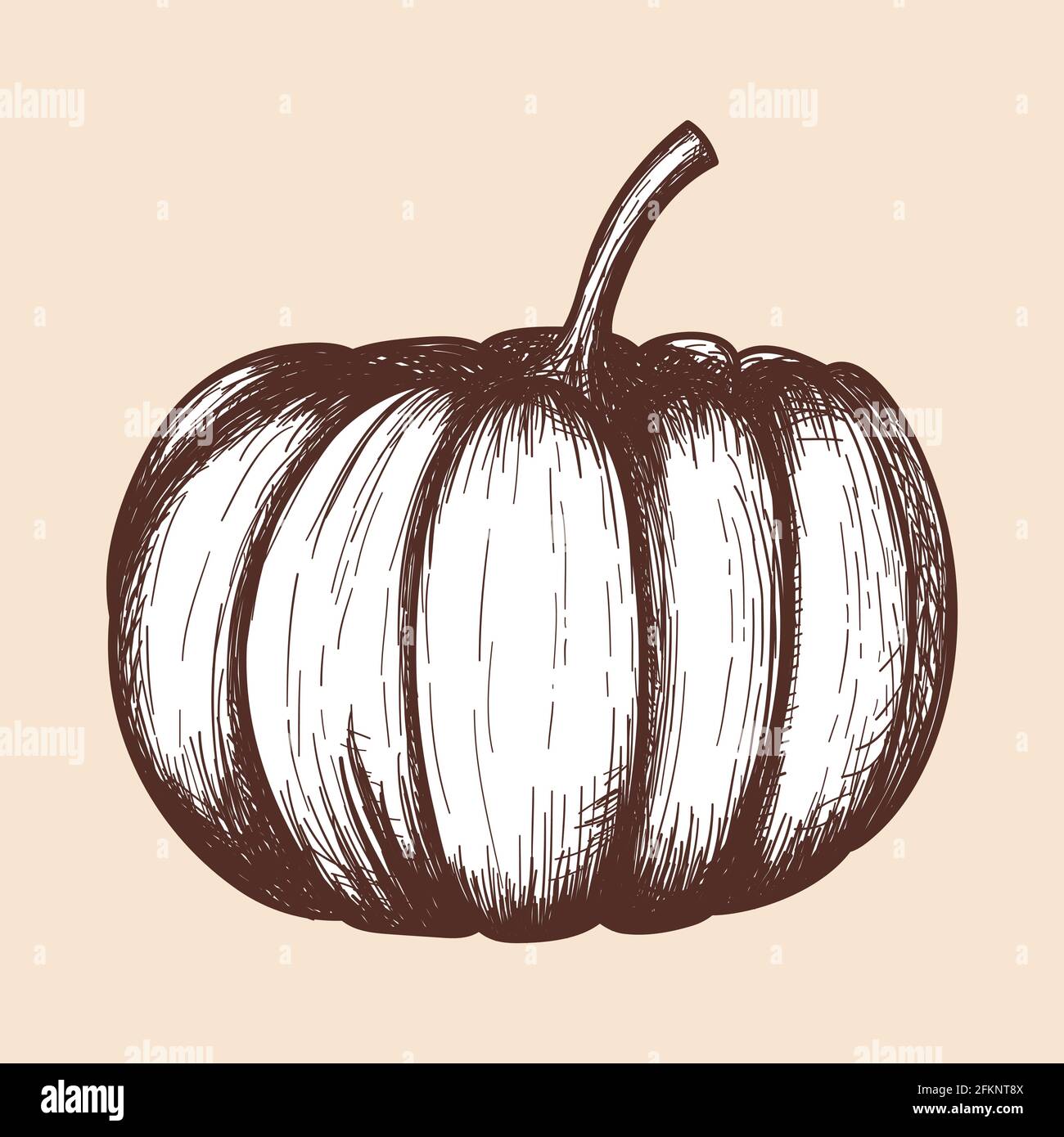 Pumpkin Icon. Hand Drawn Sketch Design. Vector Illustration Stock ...