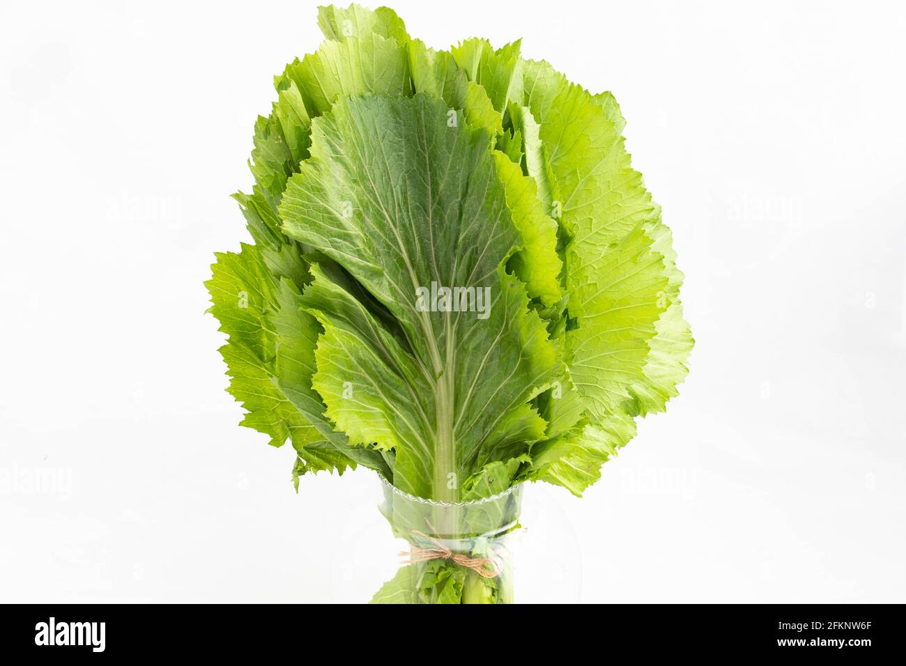 Sarson Leaves Saag Of Brown Or Chinese Black Mustard Rai Raya Or Raai ...