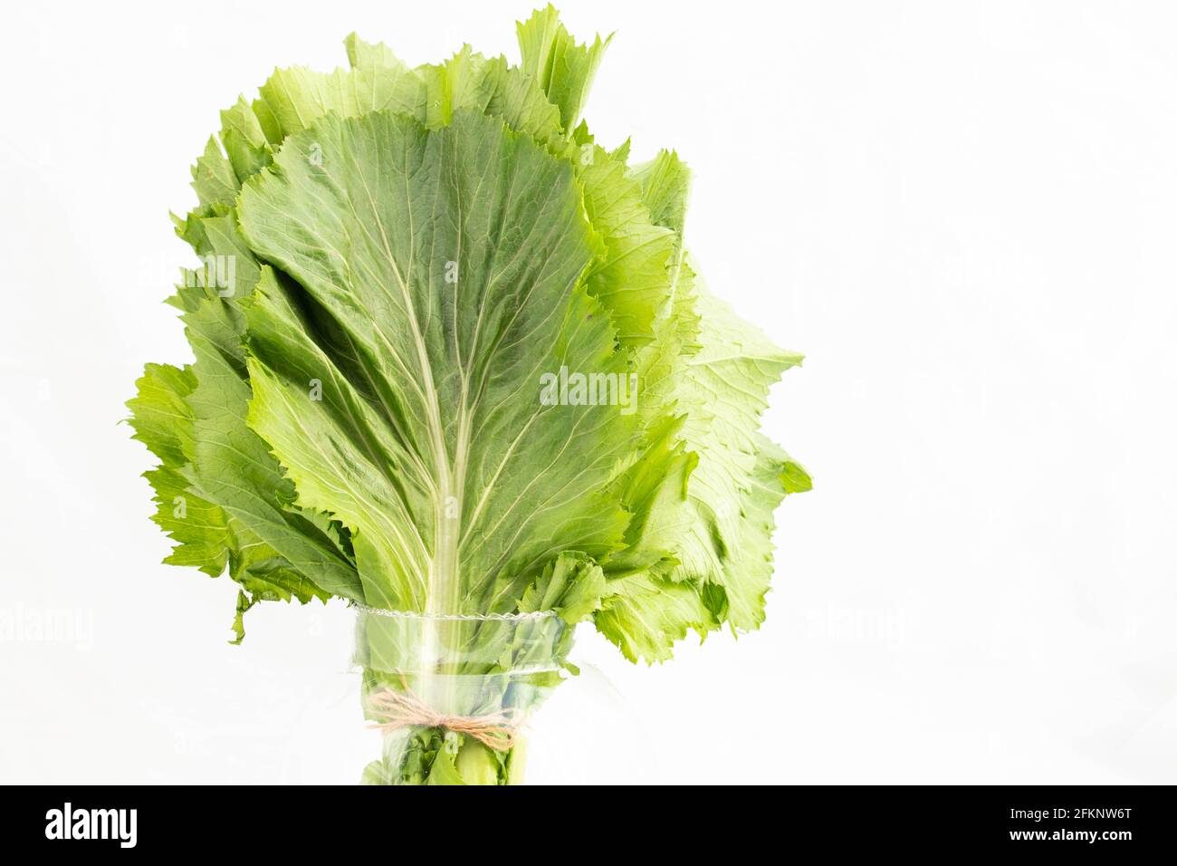 Sarson Leaves Saag Of Brown Or Chinese Black Mustard Rai Raya Or Raai ...