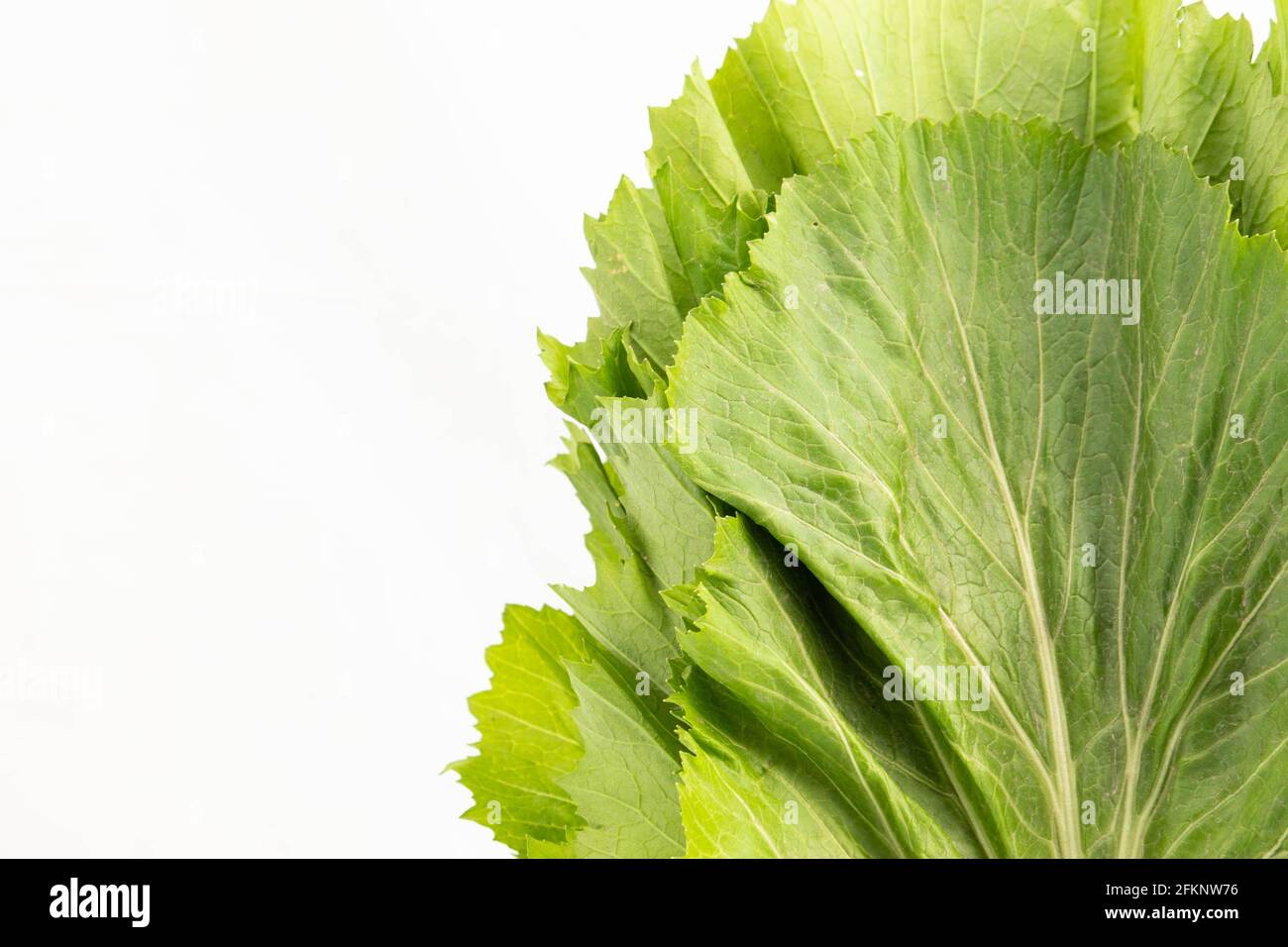 Sarson Leaves Saag Of Brown Or Chinese Black Mustard Rai Raya Or Raai ...