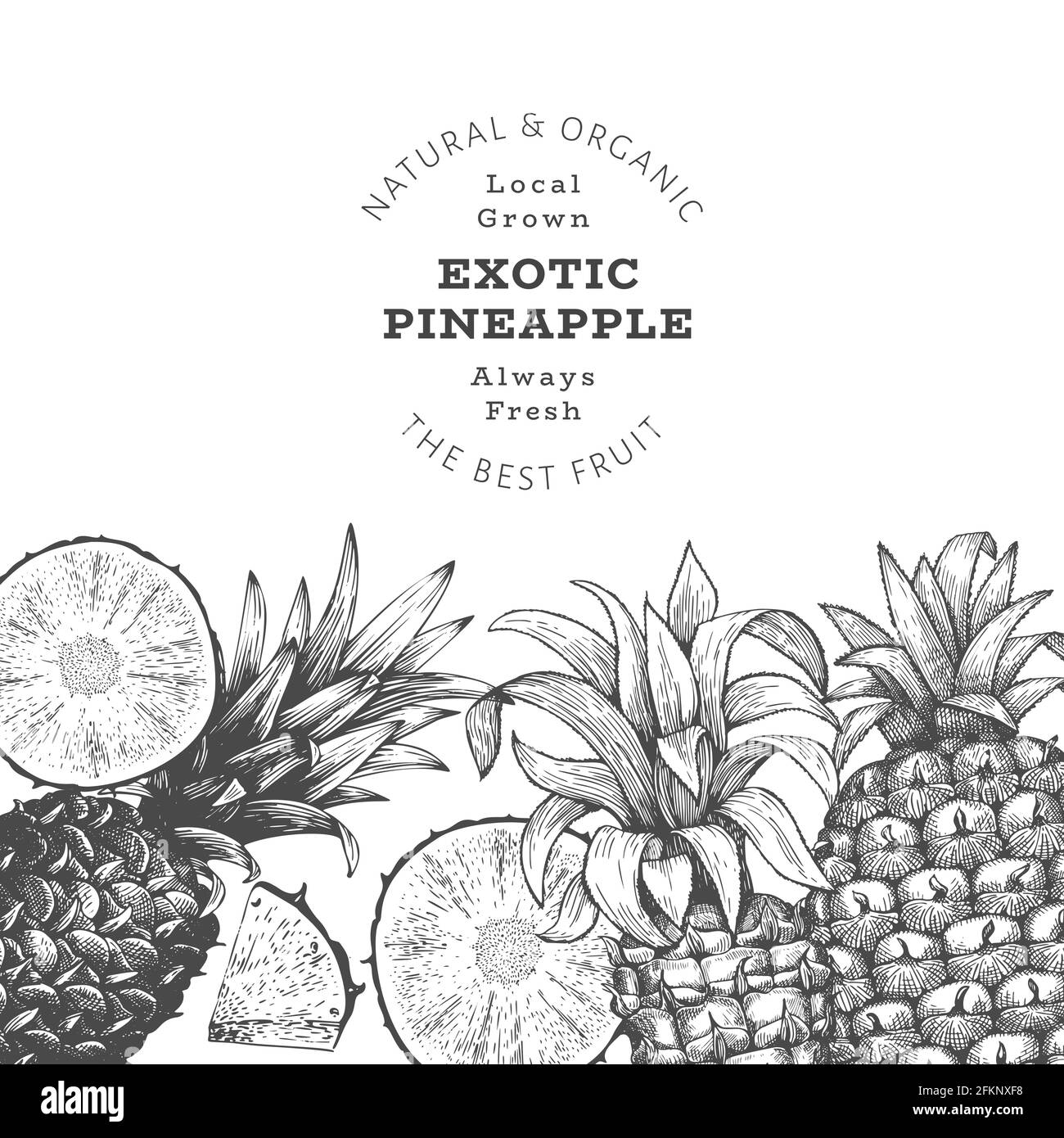 Hand drawn sketch style pineapple banner. Organic fresh fruit vector ...