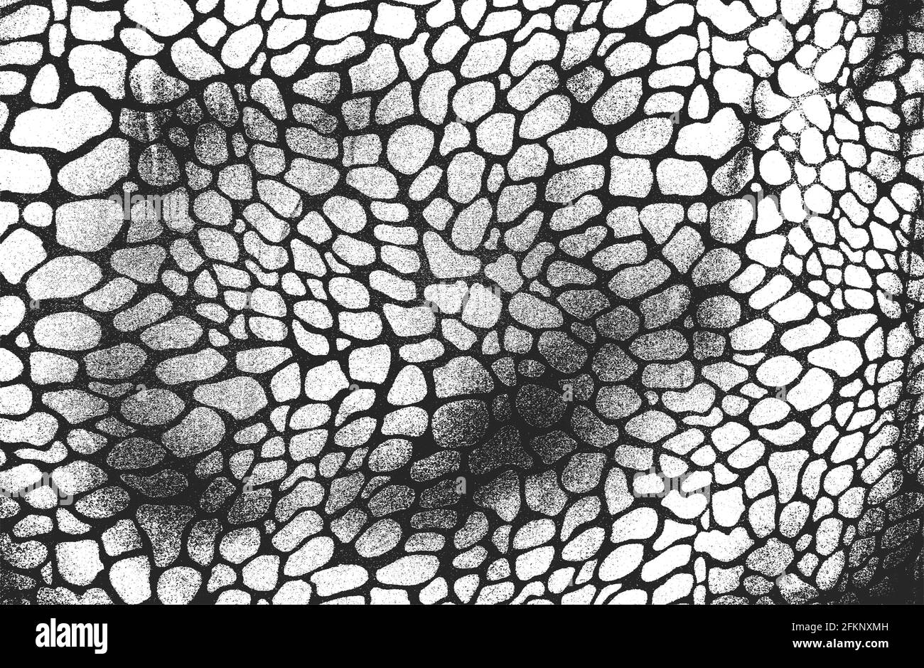 Distressed overlay texture of fabric with leopard fur print, grunge ...