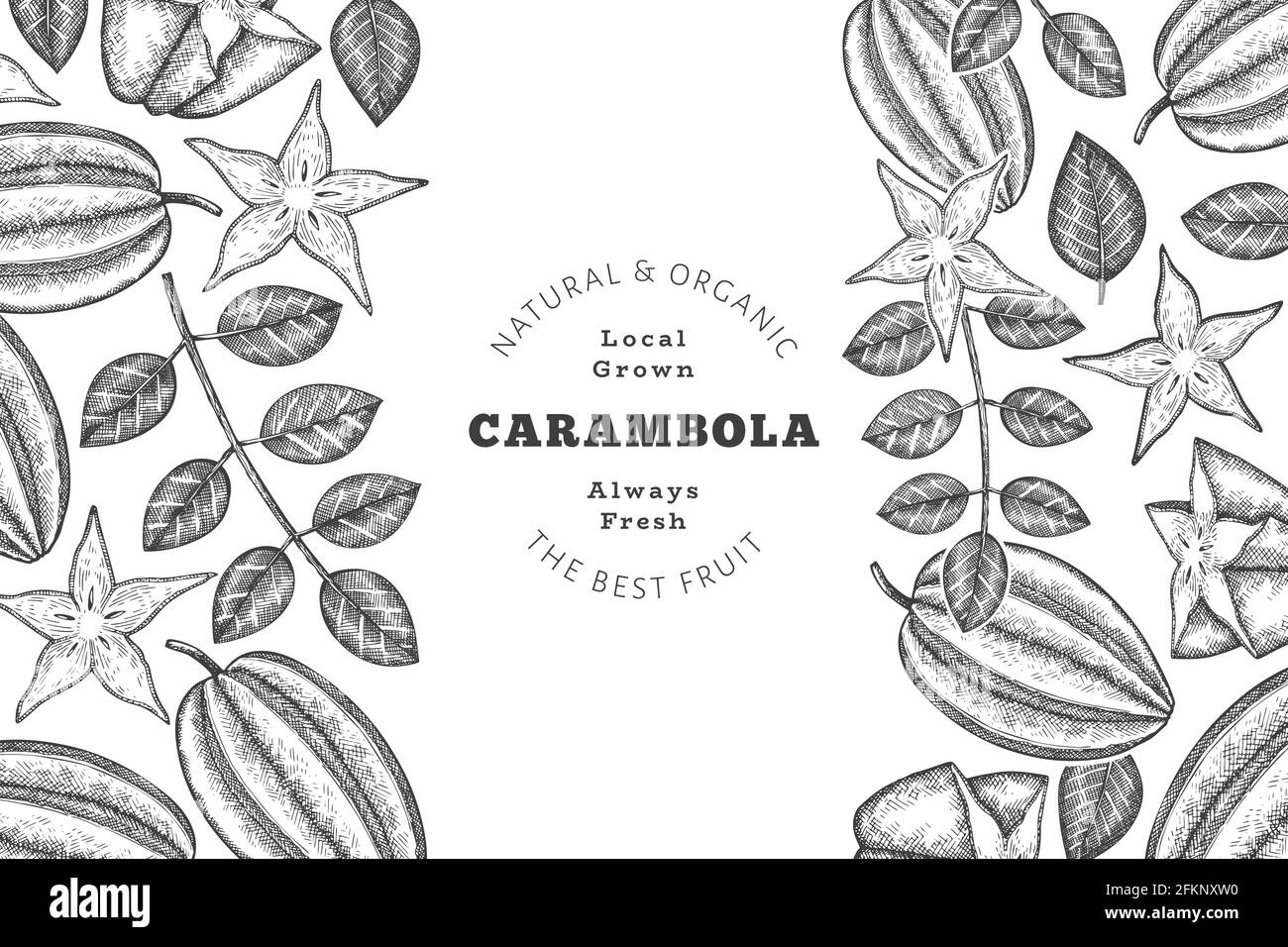 Hand drawn sketch style carambola banner. Organic fresh fruit vector ...