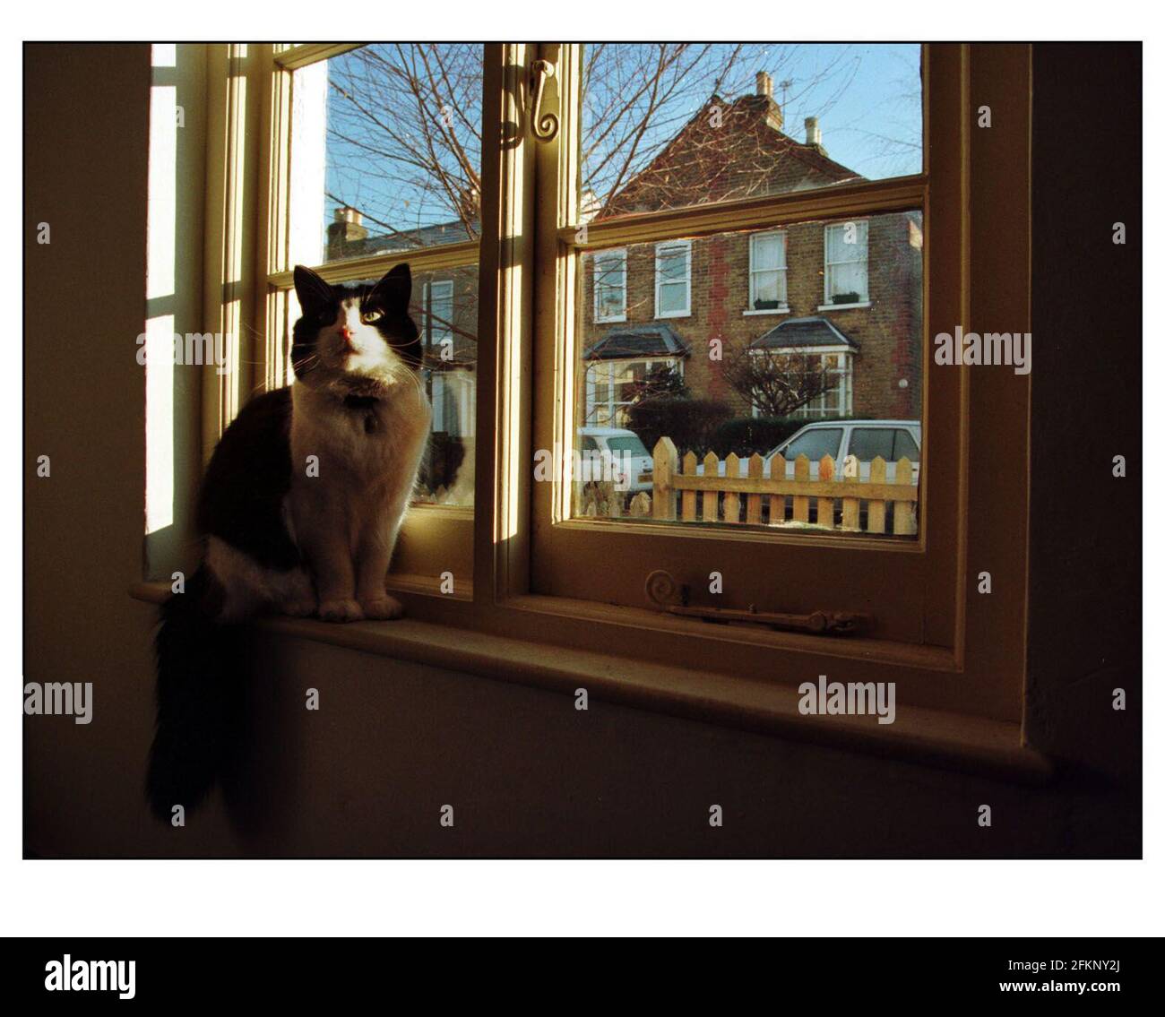 What boris Cut Out Stock Images & Pictures - Alamy