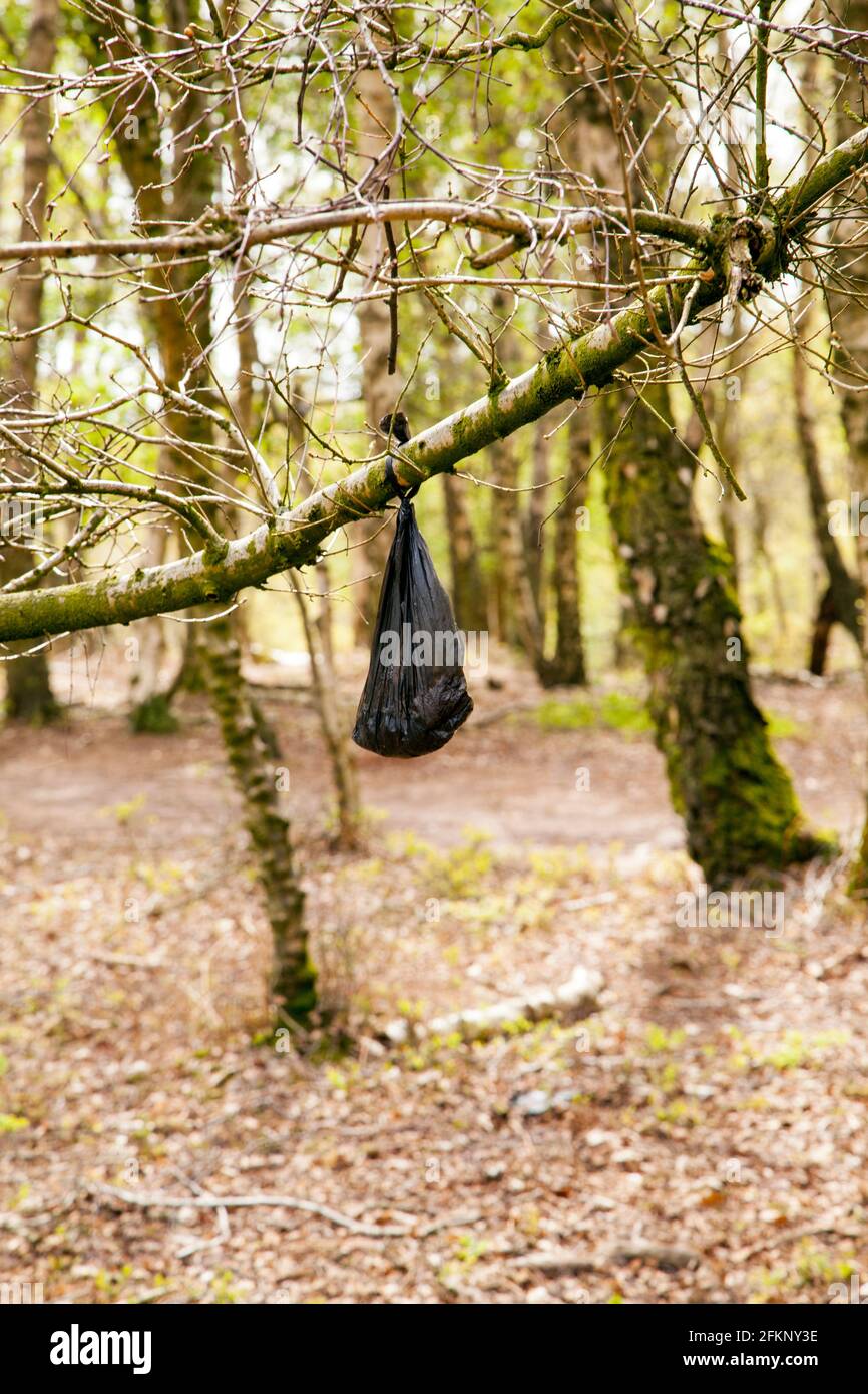 Dog poo tree hi-res stock photography and images - Alamy